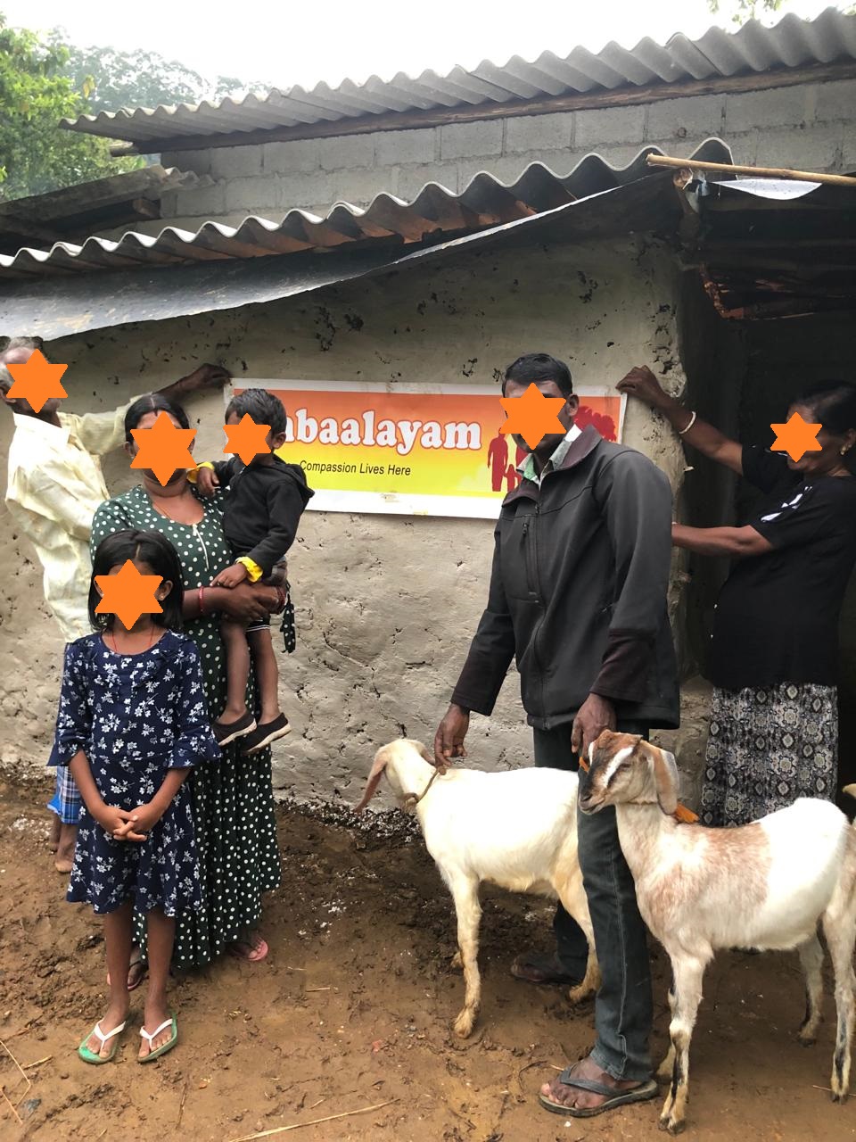Goat shed and Goats – Lindula (Nuwara Eliya region) – January 2024 ...